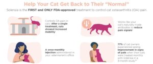 Solensia: A Breakthrough Treatment for Feline Osteoarthritis ...